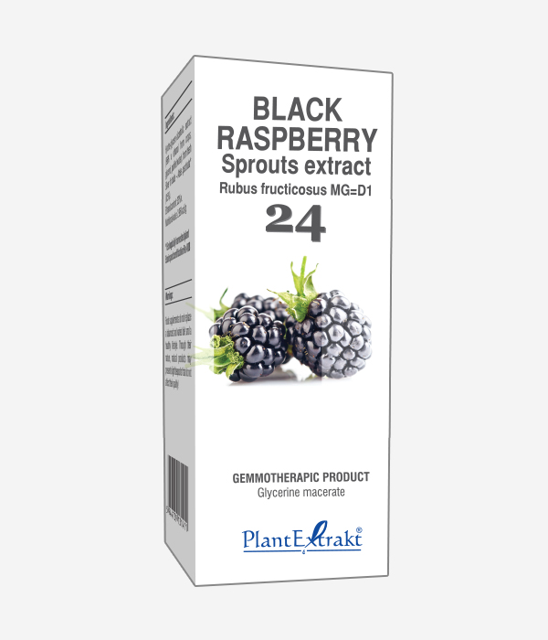 Buy Black Raspberry Sprouts Extract - Dr. Zia Pharmaceuticals