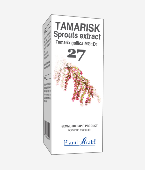 Buy Tamarisk Sprouts Extract - Dr. Zia Pharmaceuticals